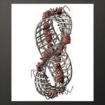 “Rind” large poster – M.C. Escher – The Official Website