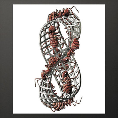 “Red and Green” Metamorphosis II on Canvas – M.C. Escher – The Official ...