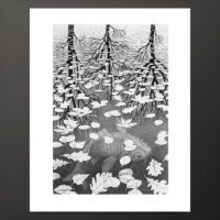 “Snakes” – M.C. Escher – The Official Website