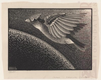 Woodcut – M.C. Escher – The Official Website