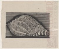 Early work – M.C. Escher – The Official Website