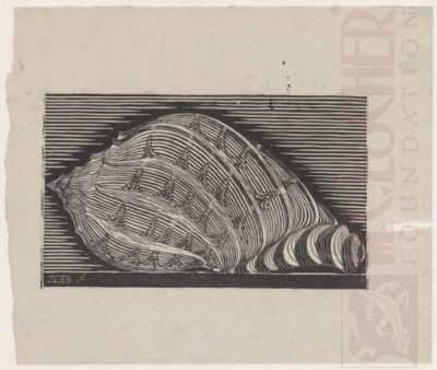 This gallery contains much of the work produced by M.C. Escher during ...