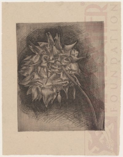 Etching – M.C. Escher – The Official Website