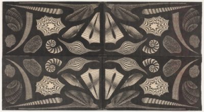 This gallery contains much of the work produced by M.C. Escher during ...