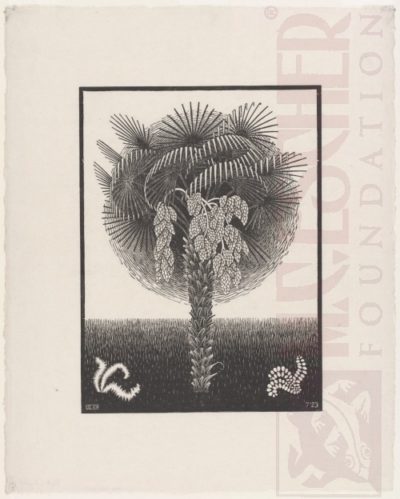 This gallery contains much of the work produced by M.C. Escher during ...